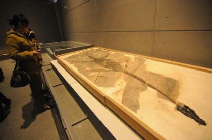 Fossils of Triassic marine reptiles on display in E China CCTV ...