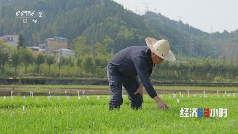 《经济半小时》 20260505 法制护航科技特派员