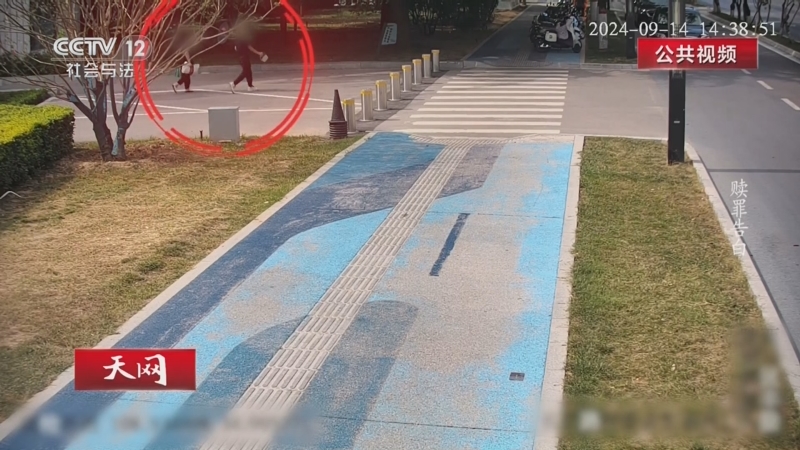 《天网》 20260706 赎罪告白