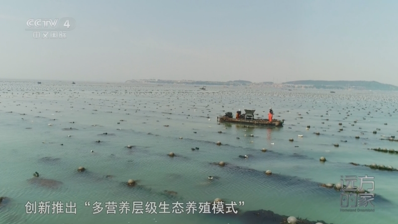 《远方的家》 20260713 山河锦绣看中国 极致海岸 丰饶牧场