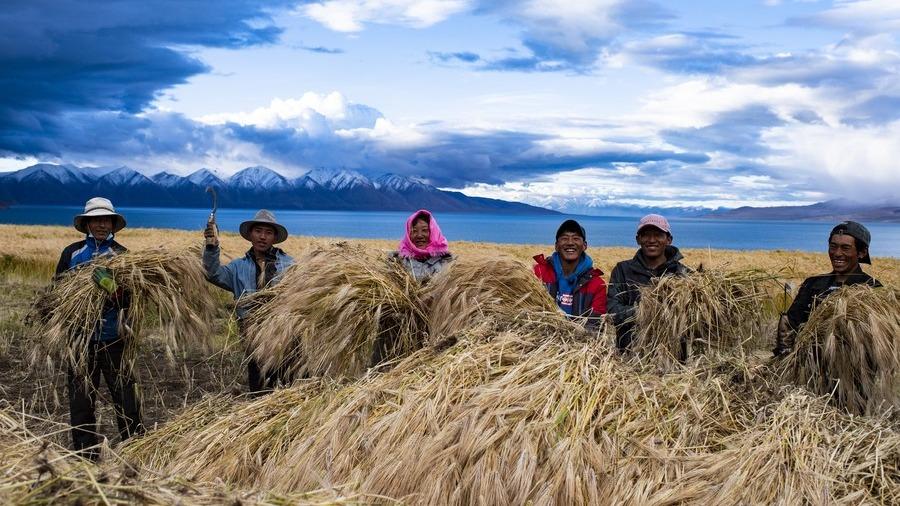 Tibet helps over 690,000 farmers, herders find jobs in 2021_英语频道_央视网 ...