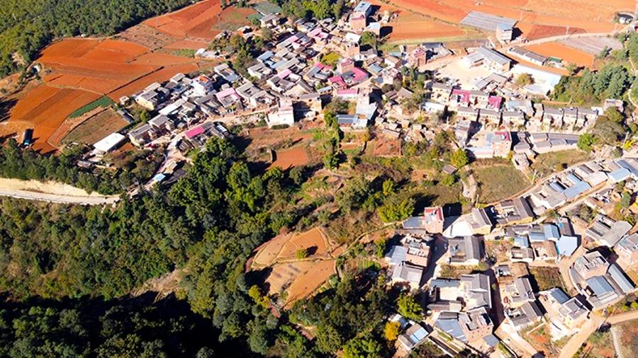 Xi Jinping leads China's drive toward rural modernization_英语频道_央视网(cctv ...