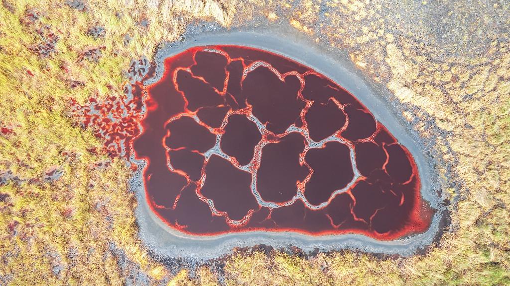 CCTV.com English - News, Video, Panview, This is China