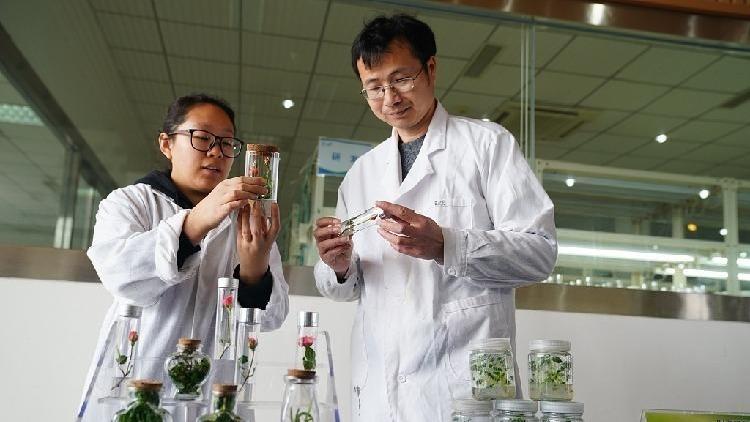 China rolls out measures to boost development of young sci-tech talents_英语频道_央视网(cctv.com)
