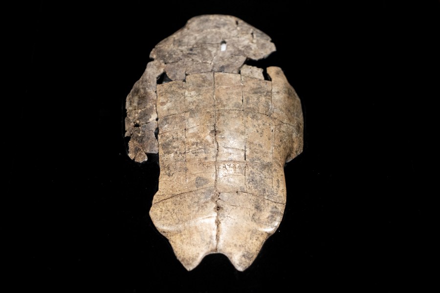 Chinese centenarian's book on oracle bone inscriptions published_英语频道 ...